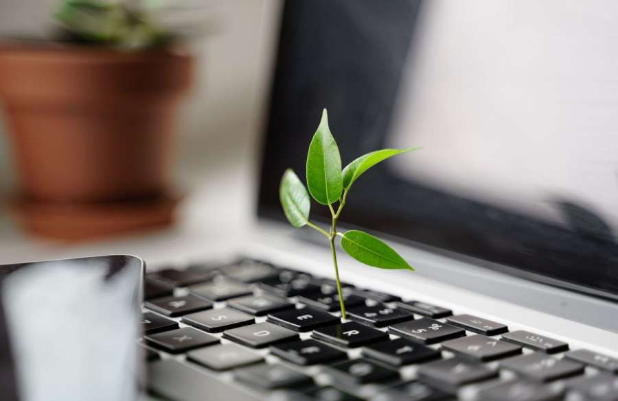 The New B Corp Standards for 2025 Explained